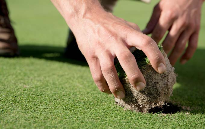 Online Learning Modules | GreenCast | Syngenta